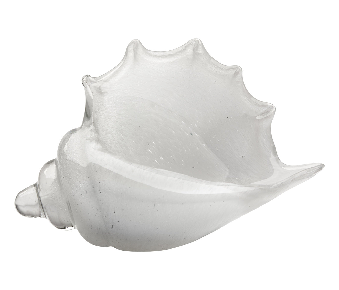 Triton Shell – LouLous Decor